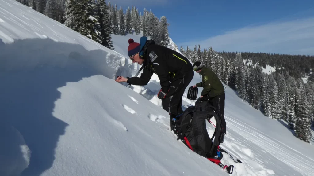 How To Survive An Avalanche - Here Comes the Apocalypse